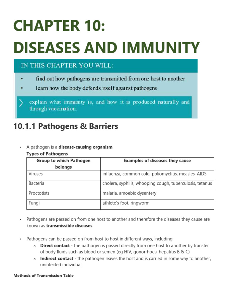 Chapter 10 Diseases and Immunity 2024 | PDF | Immune System | Pathogen