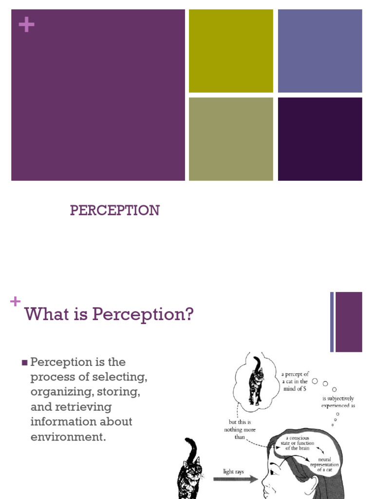 Perception | PDF