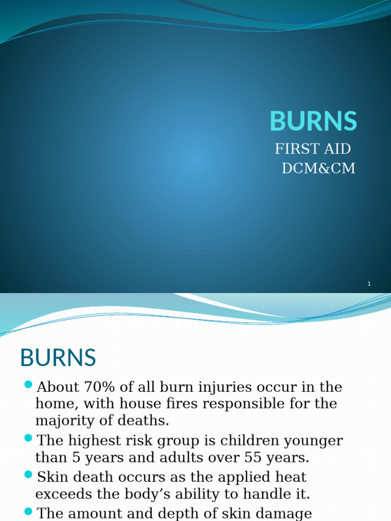 Burns | PDF