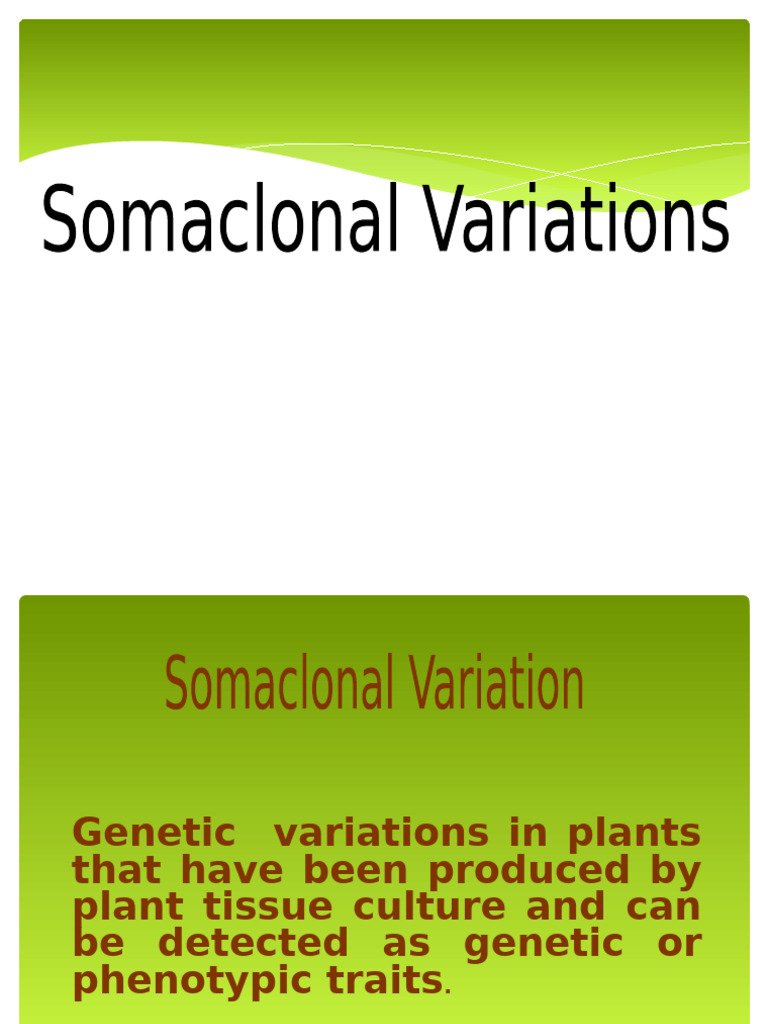 Somaclonal Variation | PDF