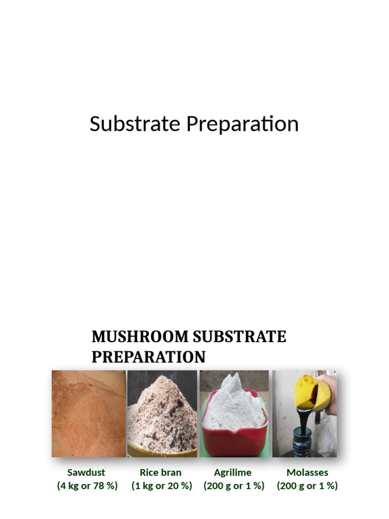 6 Substrate Preparation | PDF