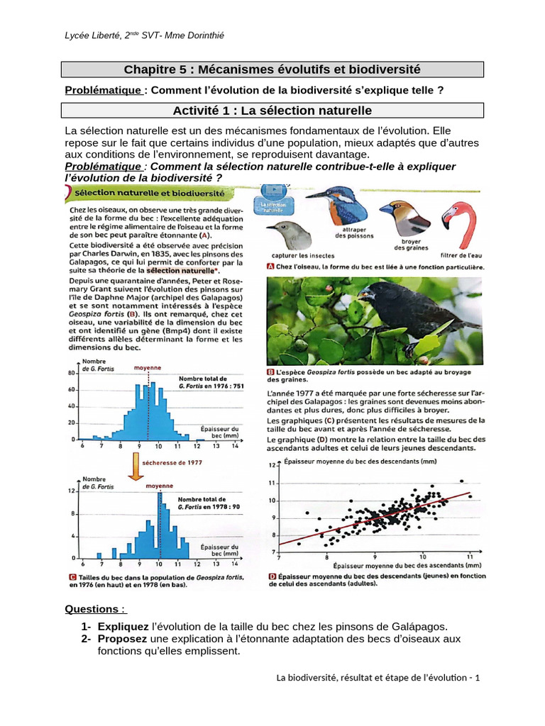 CH 5 Mécanismes évolutifs et biodiversité (Enregistré automatiquement) | PDF