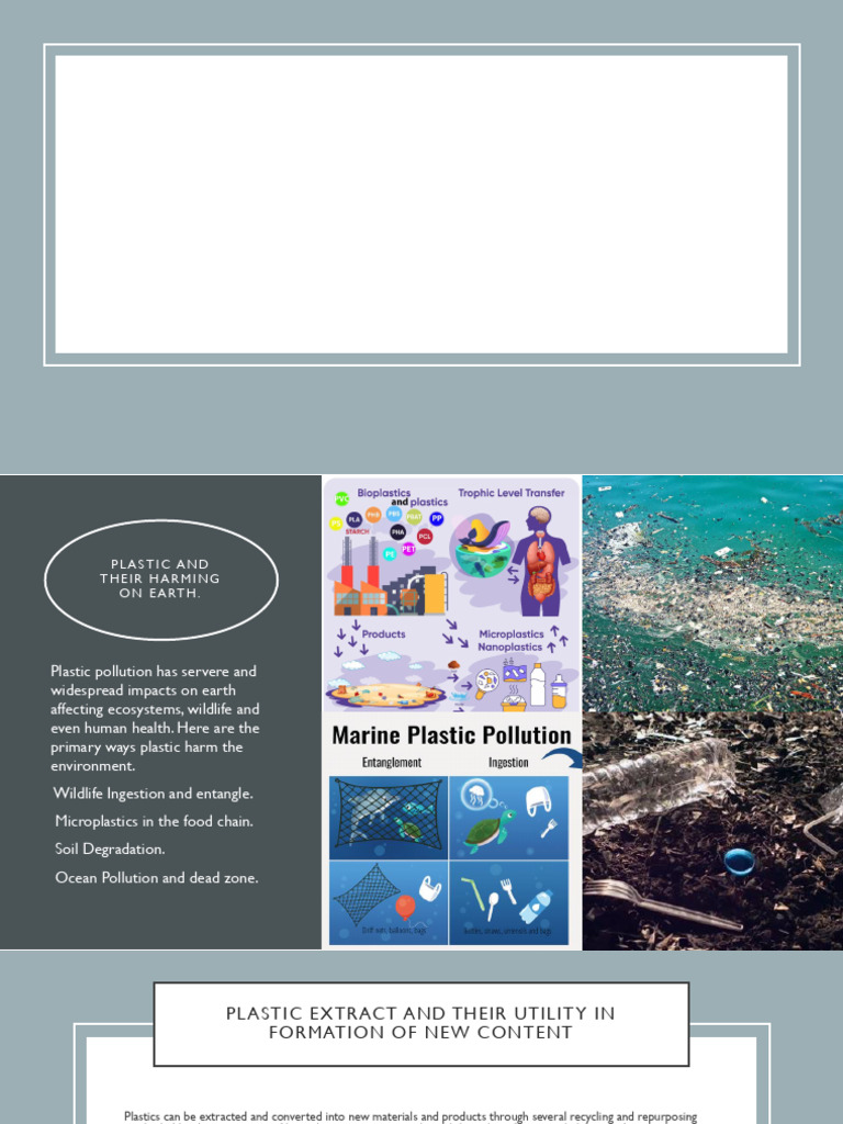 Presentation 4 | PDF