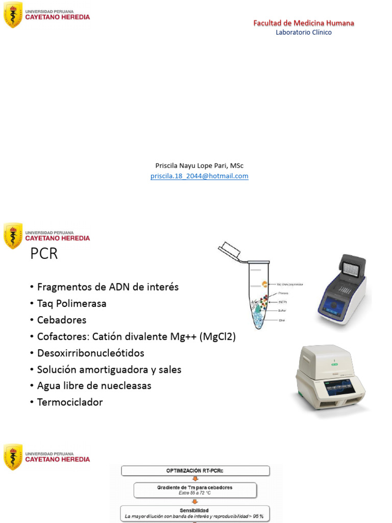 PCR y PCR-RT | PDF | Reacción en cadena de la polimerasa | Ciencia y ...