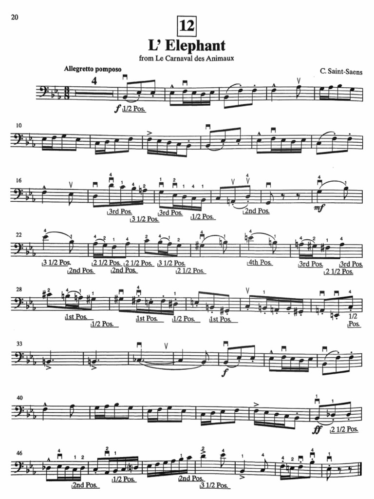 L Lphant The Elephant For Double Bass Solo and Orchestra | PDF