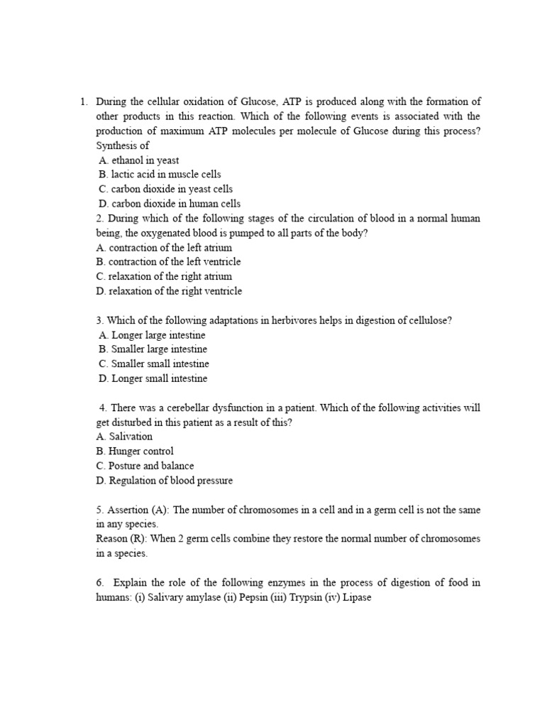 Sample Paper _ Half Yearly Examination | PDF Sample Paper _ Half Yearly Examination | PDF