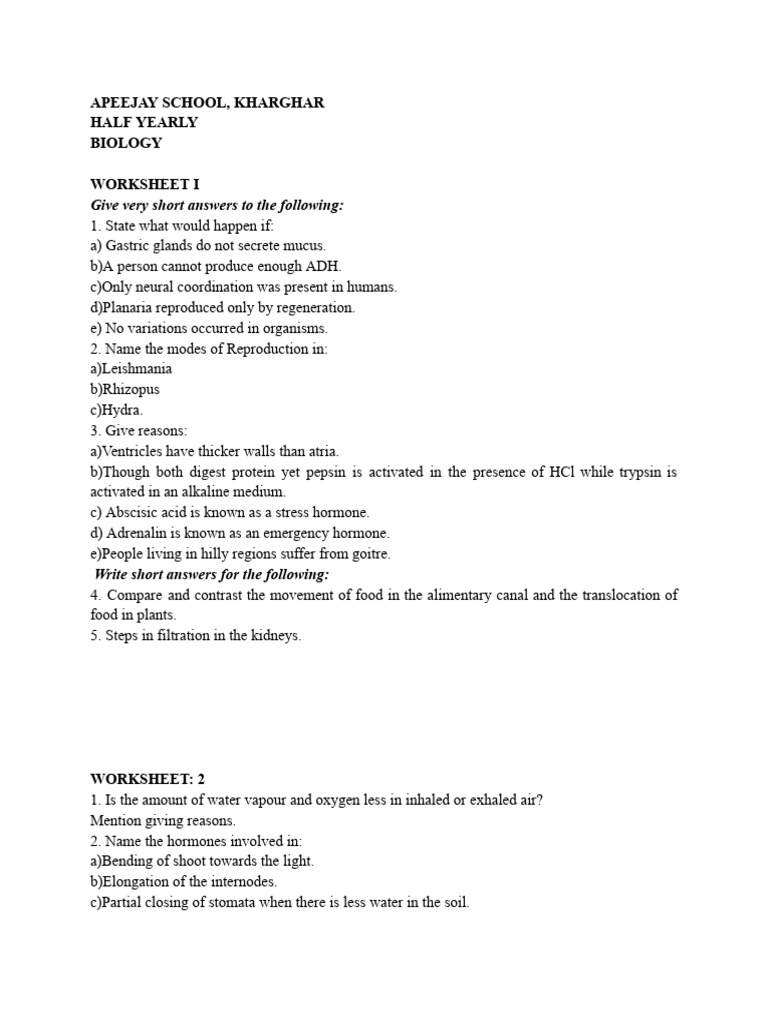 Bio Worksheet | PDF
