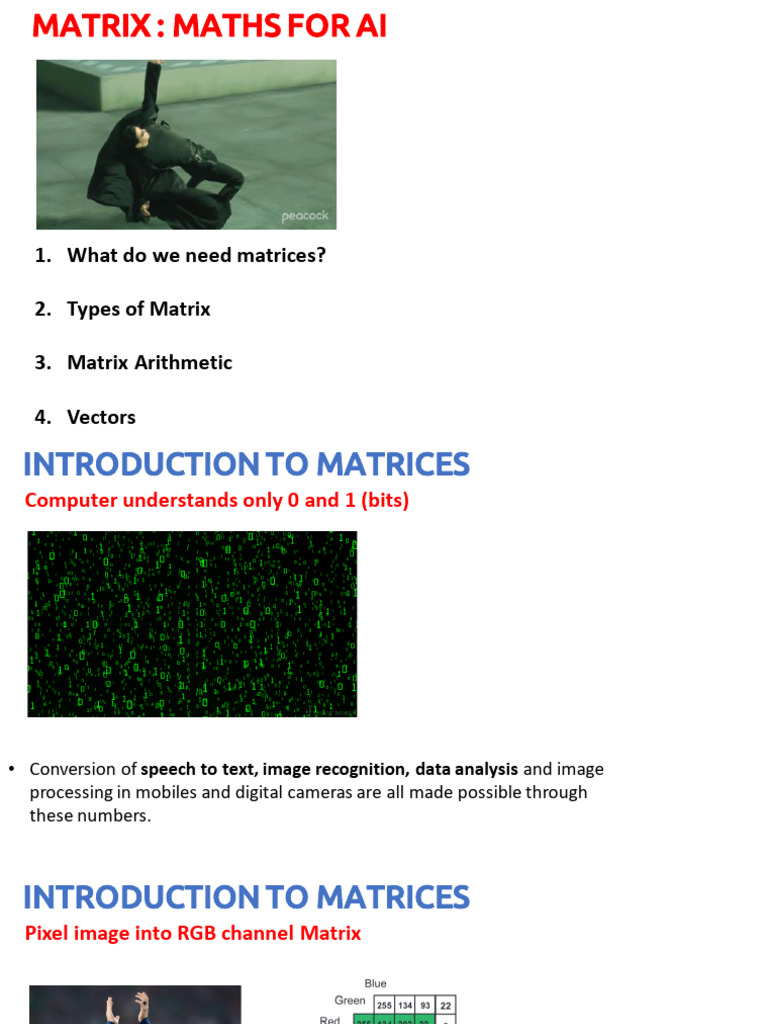 Class 11 Maths For AI Matrices AI 843 | PDF