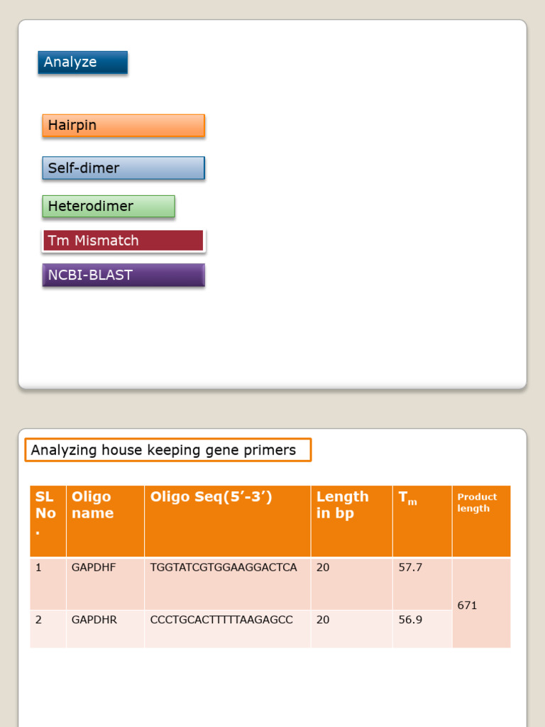 4.Primer Design Analyzing | PDF