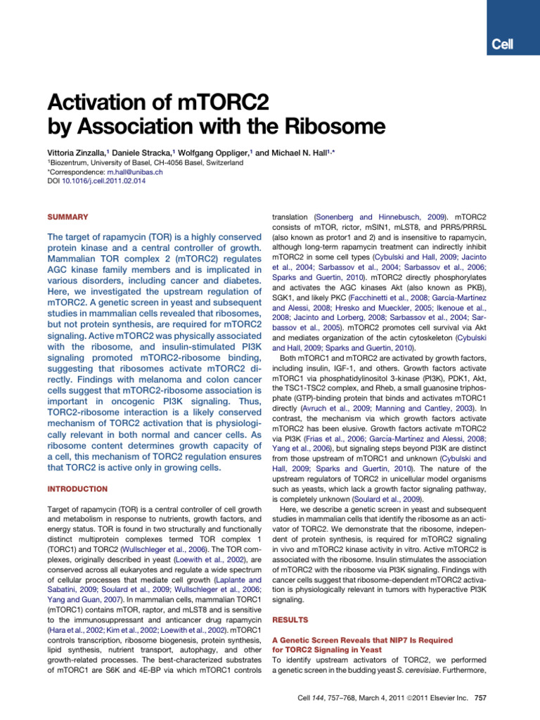 Activation of MTORC2 by Association With The Ribos | PDF