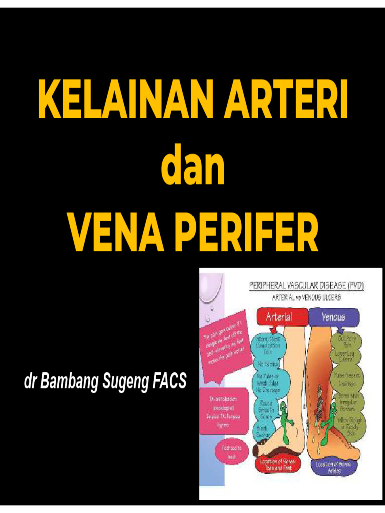 6 - Vena-Pad2024 | PDF