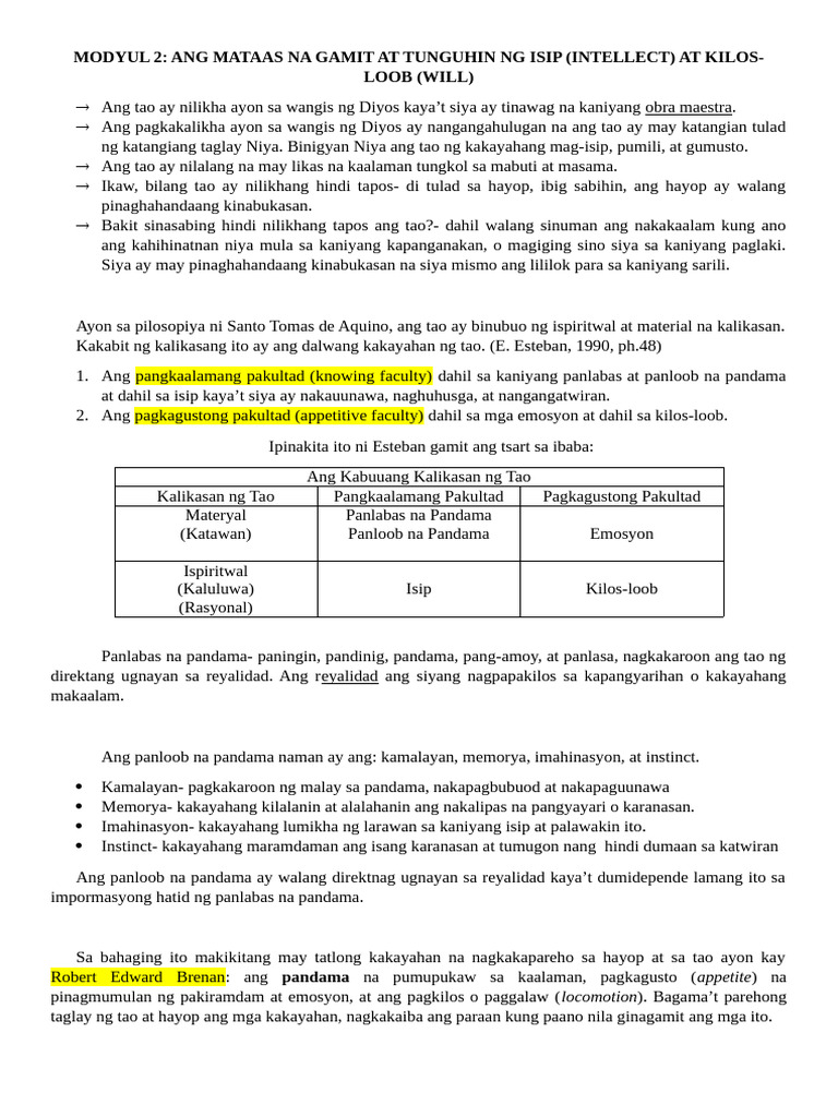 VE - Module 2 Summary | PDF