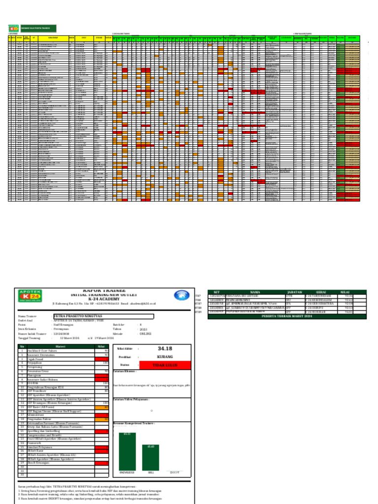 Data REMEDIAL Training - MARET 2024 | PDF