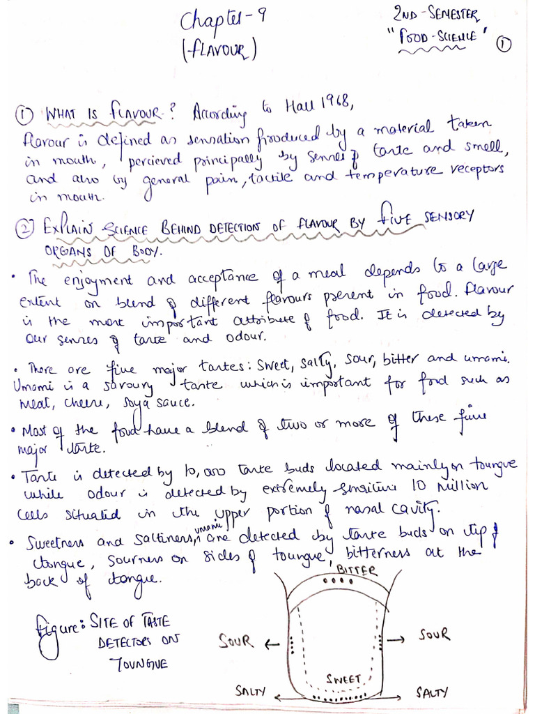 Chapter9 Flavour | PDF