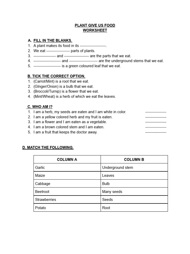 Plant Give Us Food Worksheet 1 | PDF