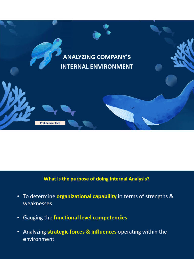 Mpany's Internal Environment | PDF