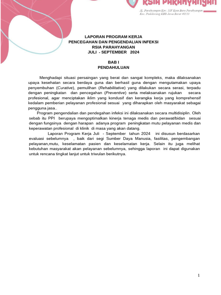 LAPORAN PROGRAM KERJA PPI RSIAP (1) | PDF