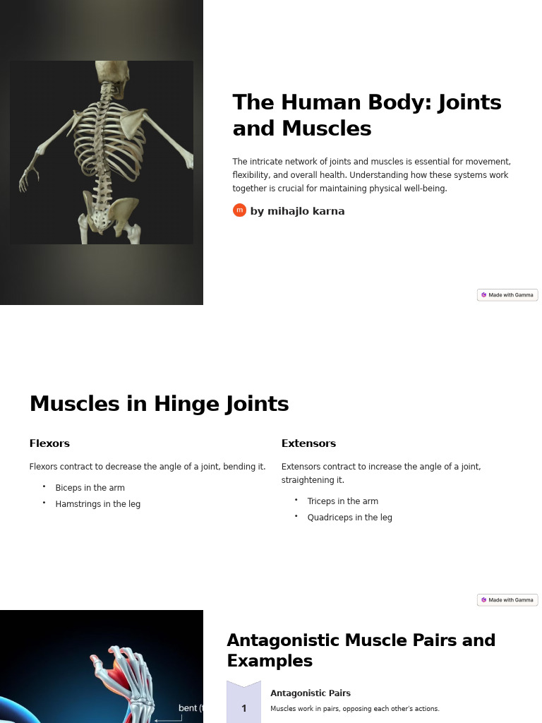 The Human Body Joints and Muscles | PDF