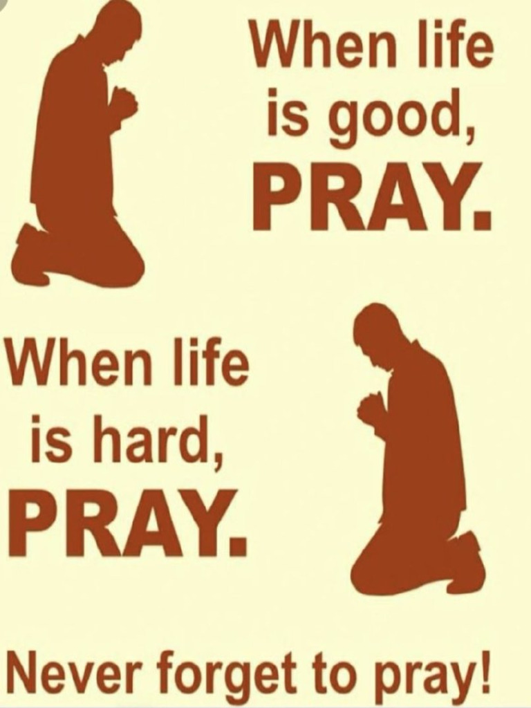 PDF Phoenix 20241013 115432 | PDF