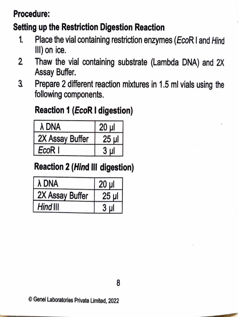 Restriction Digestion Enzymes Notes | PDF