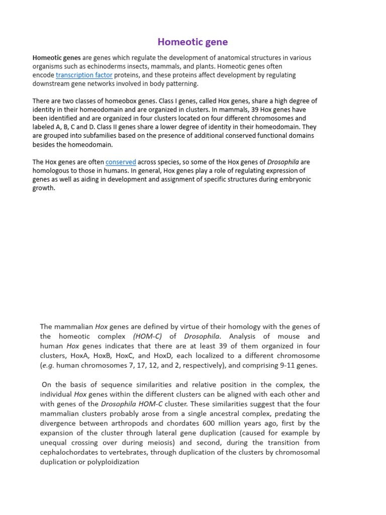 Homeotic Gene | PDF