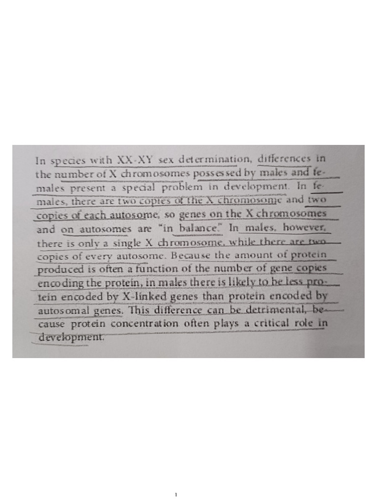 Understanding the Lyon Hypothesis | PDF