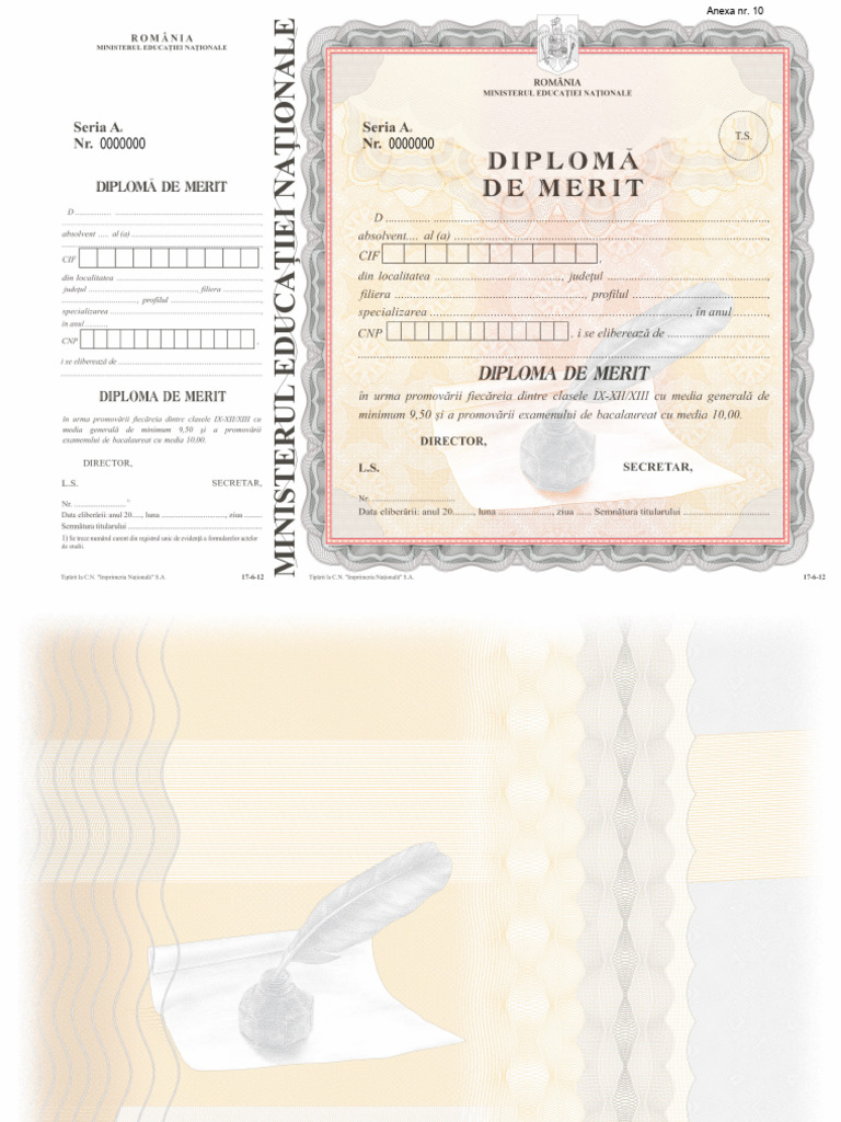 ANEXA 10 - Diploma de Merit | PDF