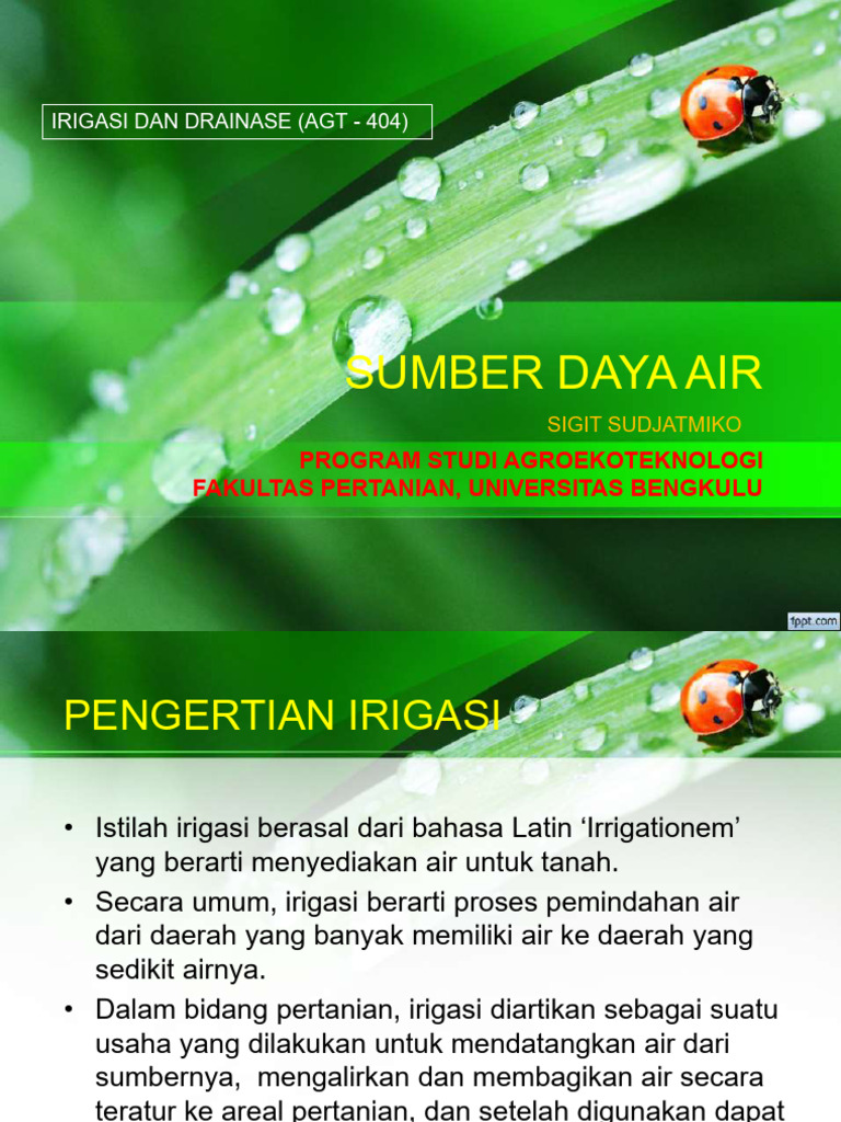 Irigasi Dan Drainase | PDF