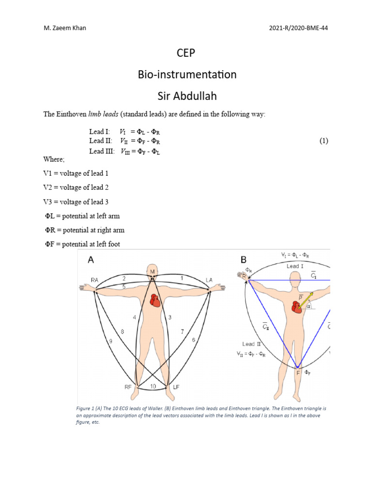 Cep 44 Sir Abdullah Bioinstrumentation | PDF