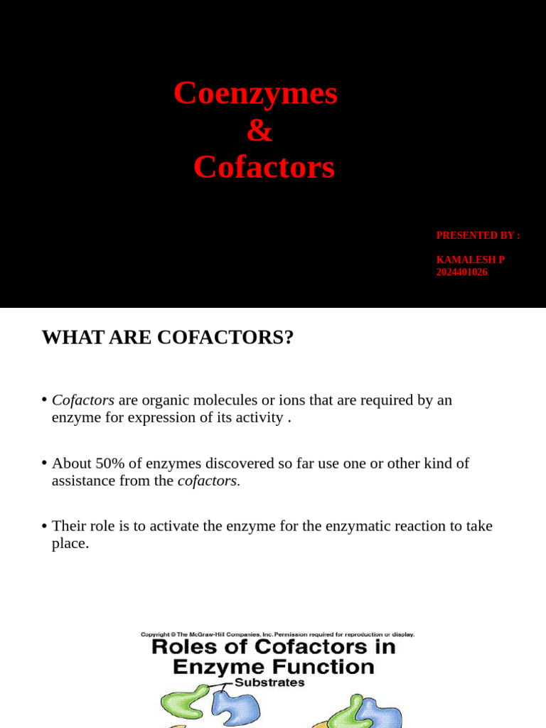 Coenzymes 1026 | PDF