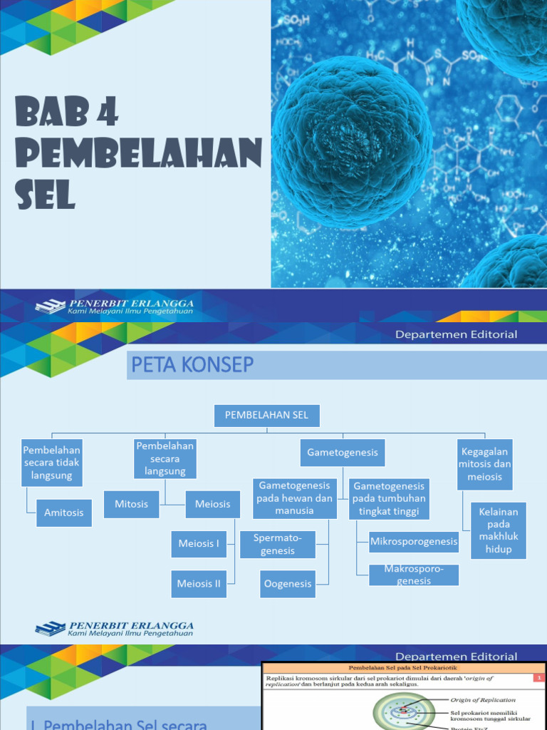 Bab 4 Pembelahan SEL | PDF