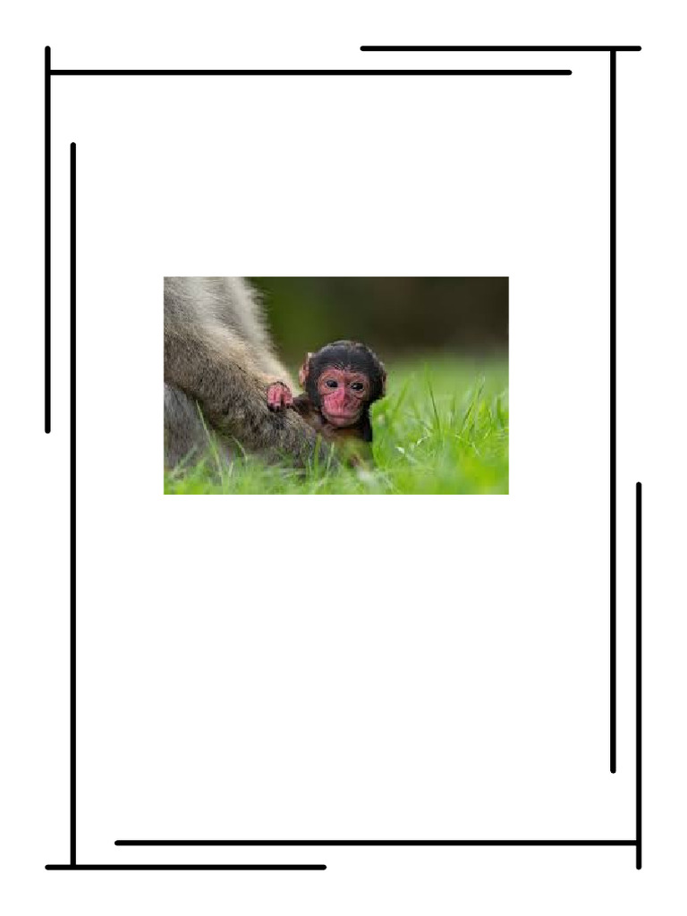 Black Minimalist Lined Blank Document | PDF