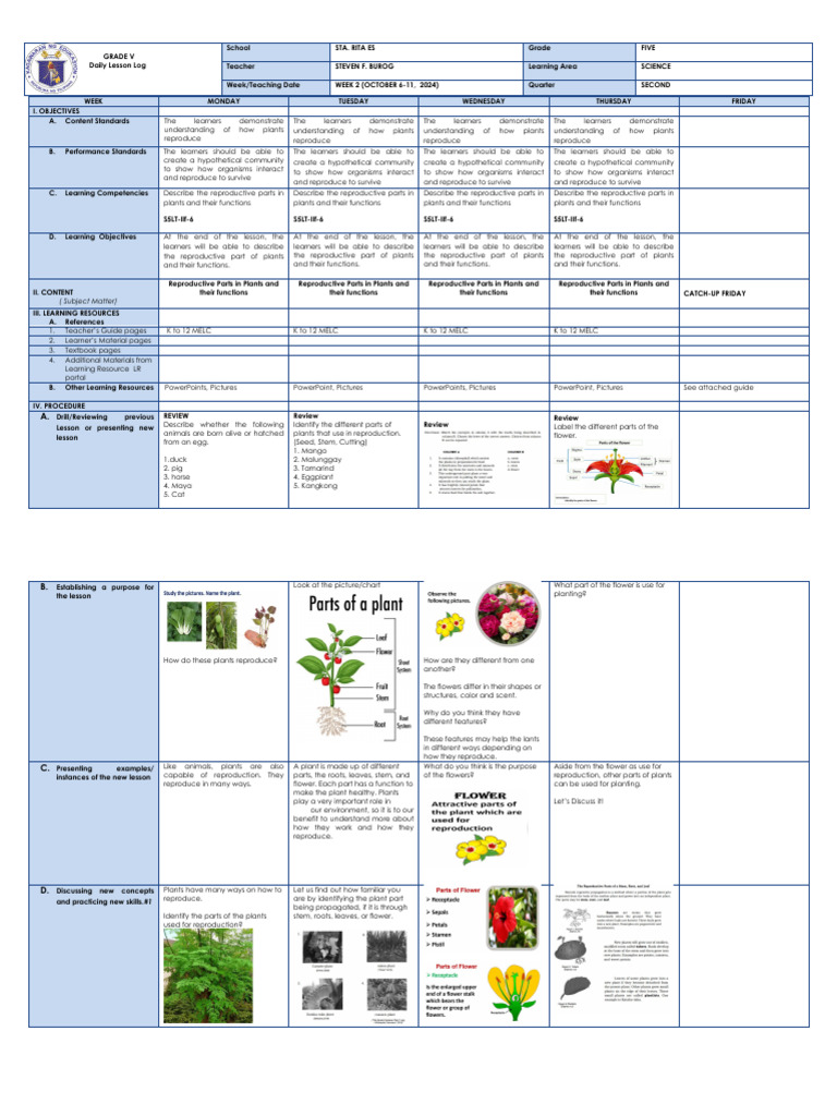DLL Science 5 W4-Q2 | PDF