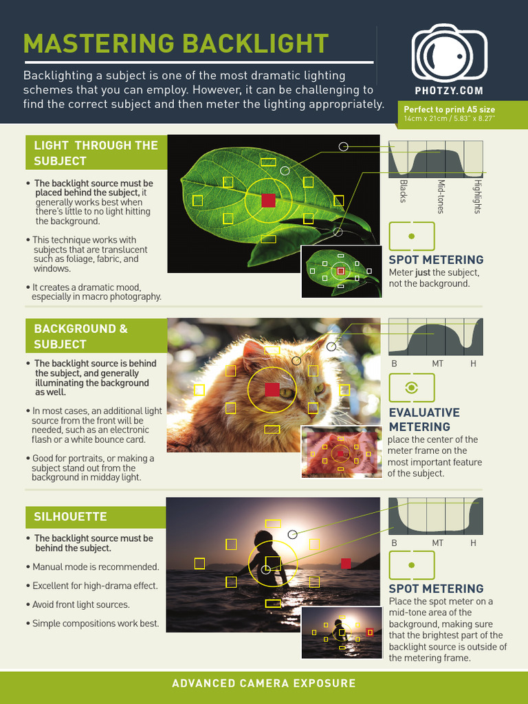 Mastering Backlight | PDF