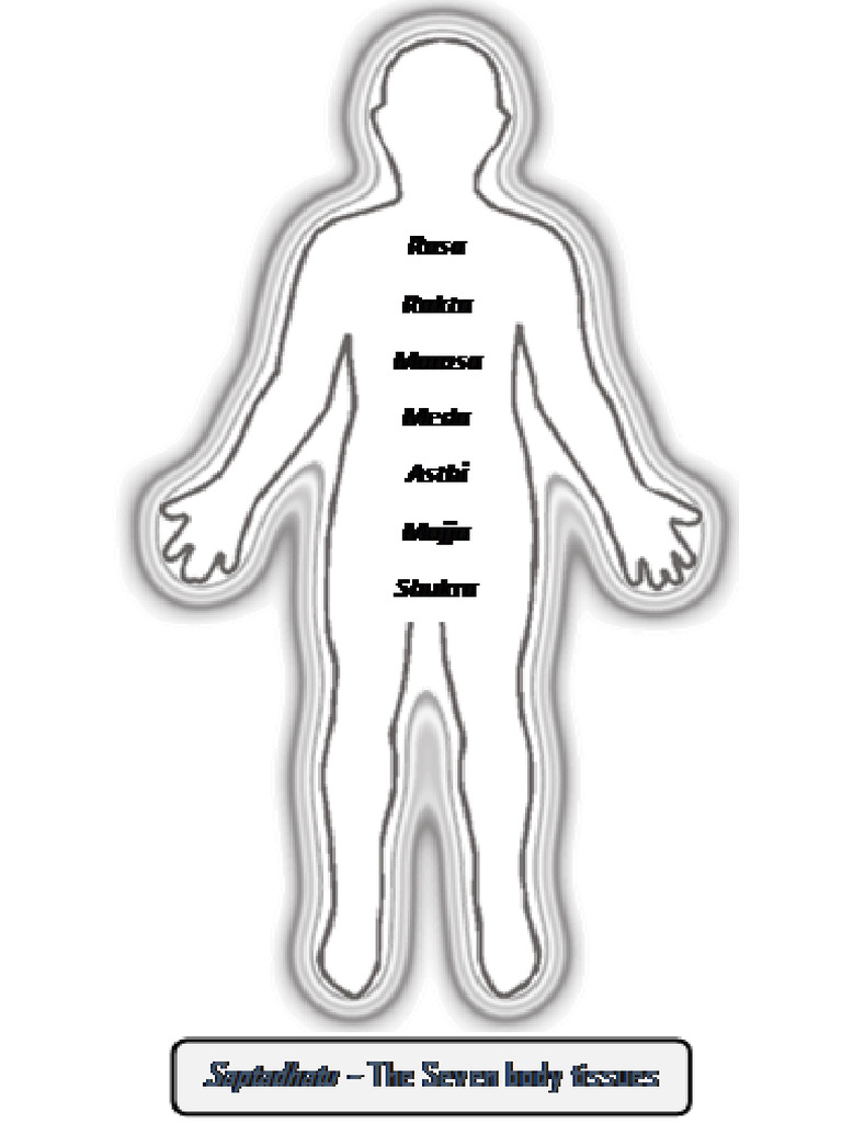 Layers of Body | PDF