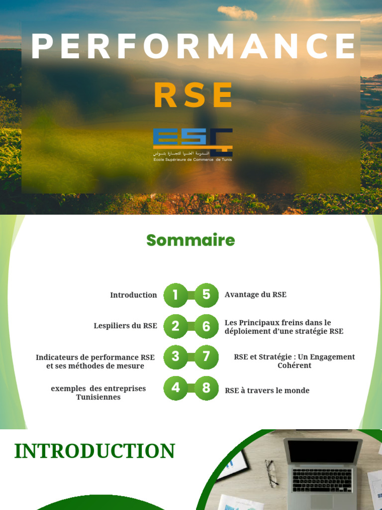 Performance RSE | PDF