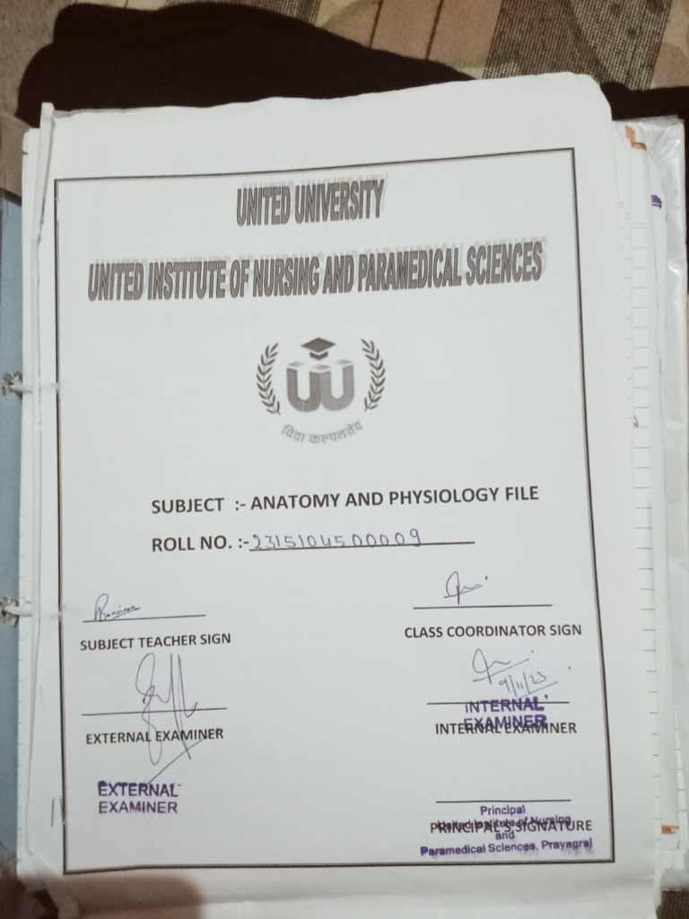 Anatomy File | PDF