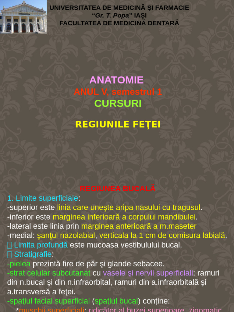 CURS 3 Regiuni Pereche Fata | PDF