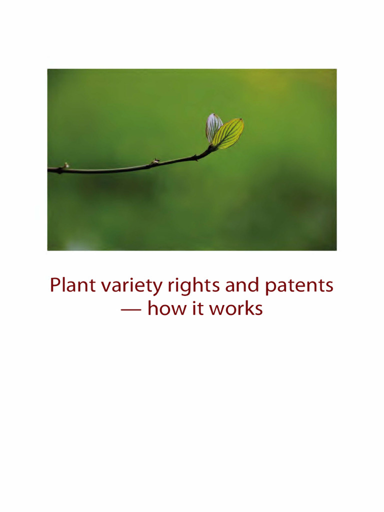 Plant Variety Rights and Patents How It Works | PDF