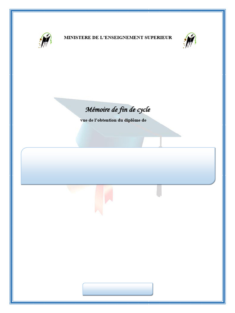 Memoire Final | PDF