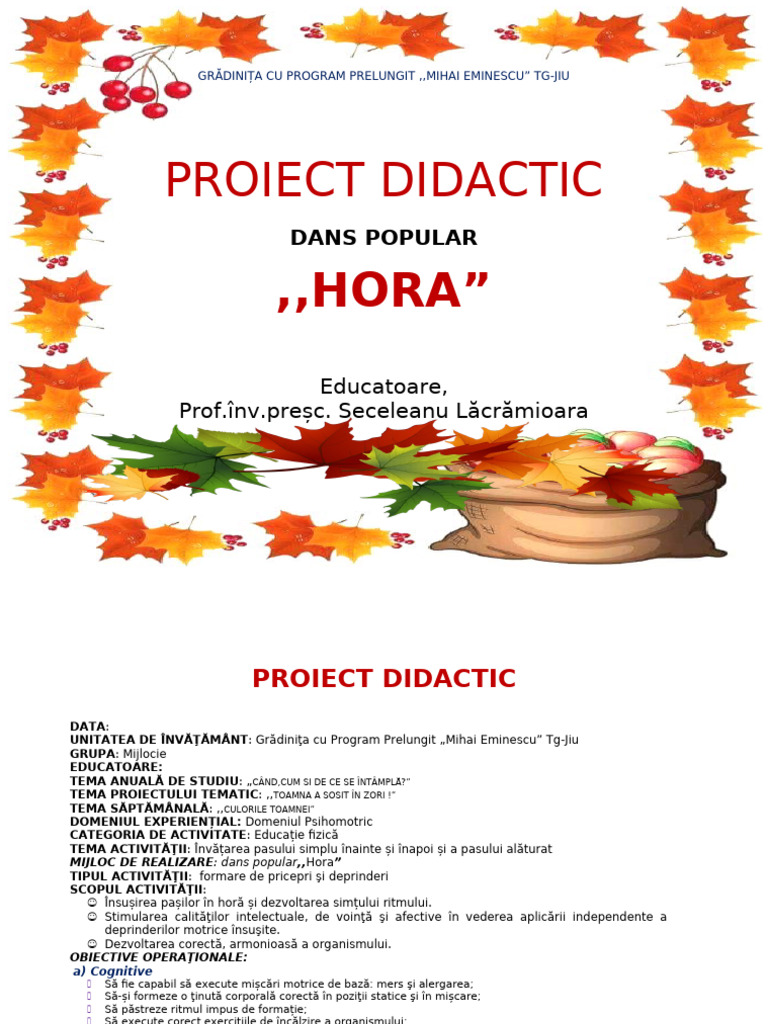 Proiect DPM | PDF