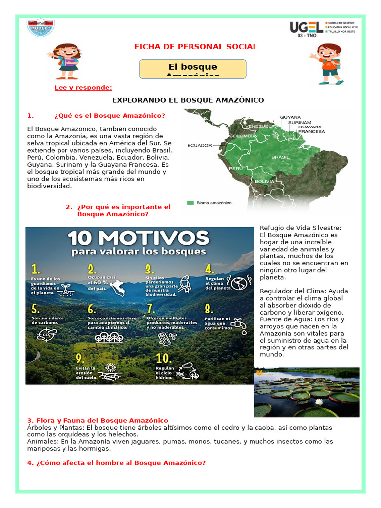 FICHA - PS BOSQUE AMAZÓNICO | PDF