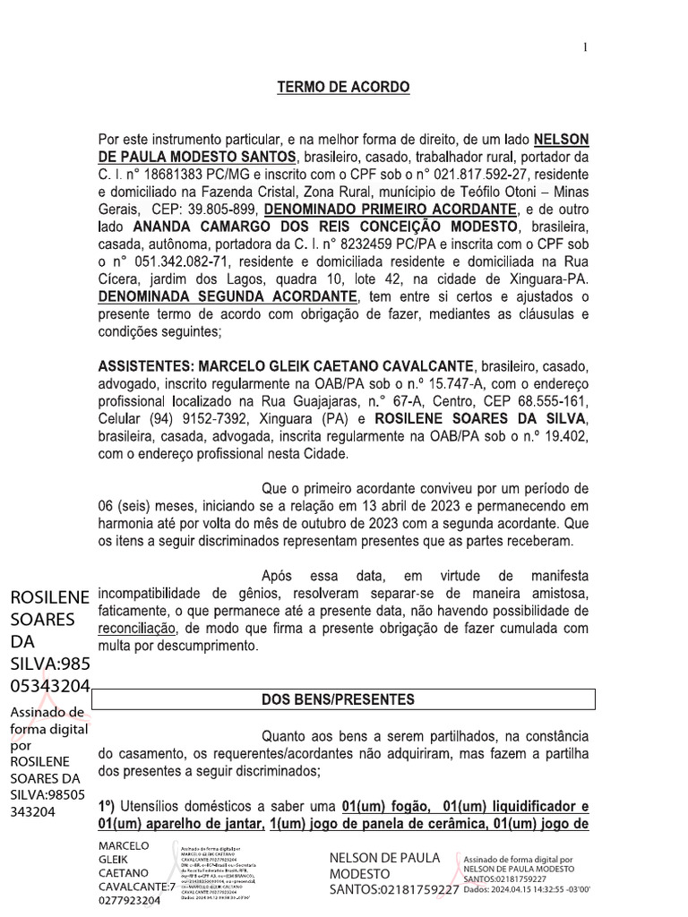 TERMO DE ACORDO PARA PARTILHA AMIGAVEL Ananda e Nelson | PDF