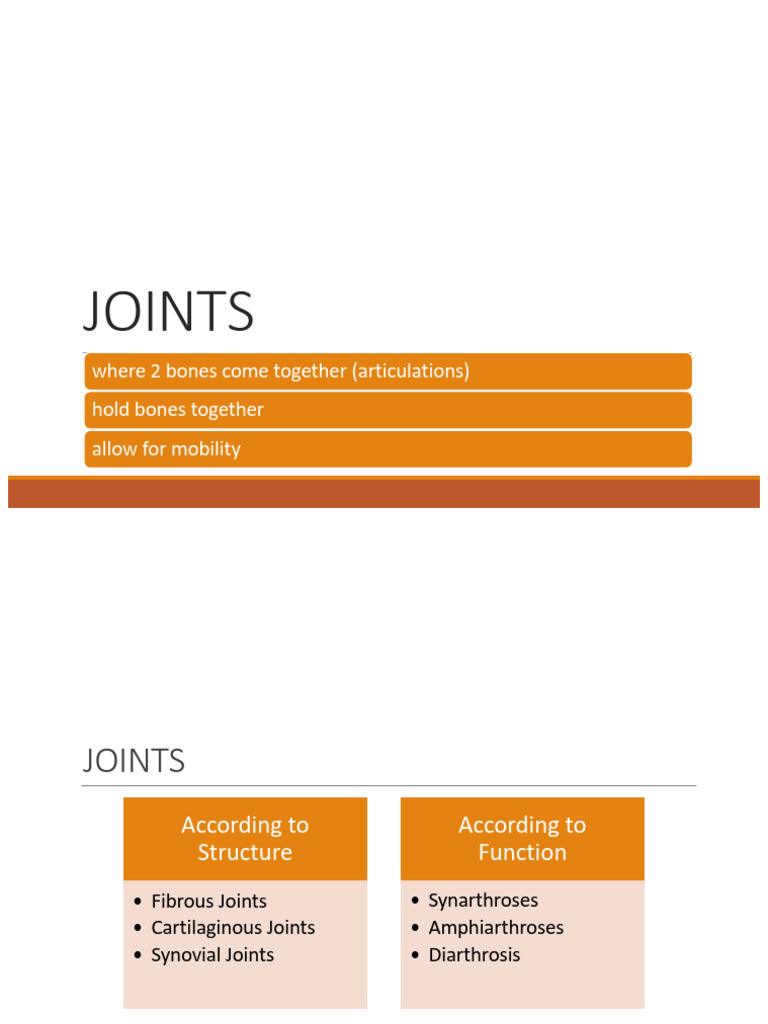Joints and Body Movements | PDF
