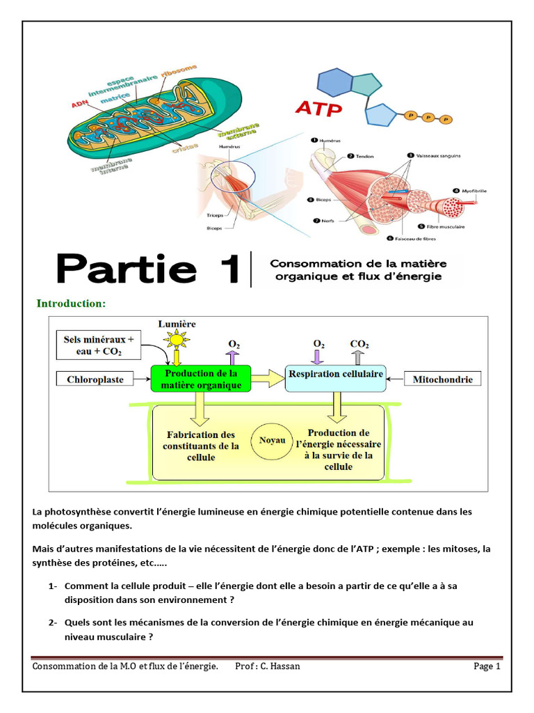 Fascicule SVT 1er Semestre | PDF