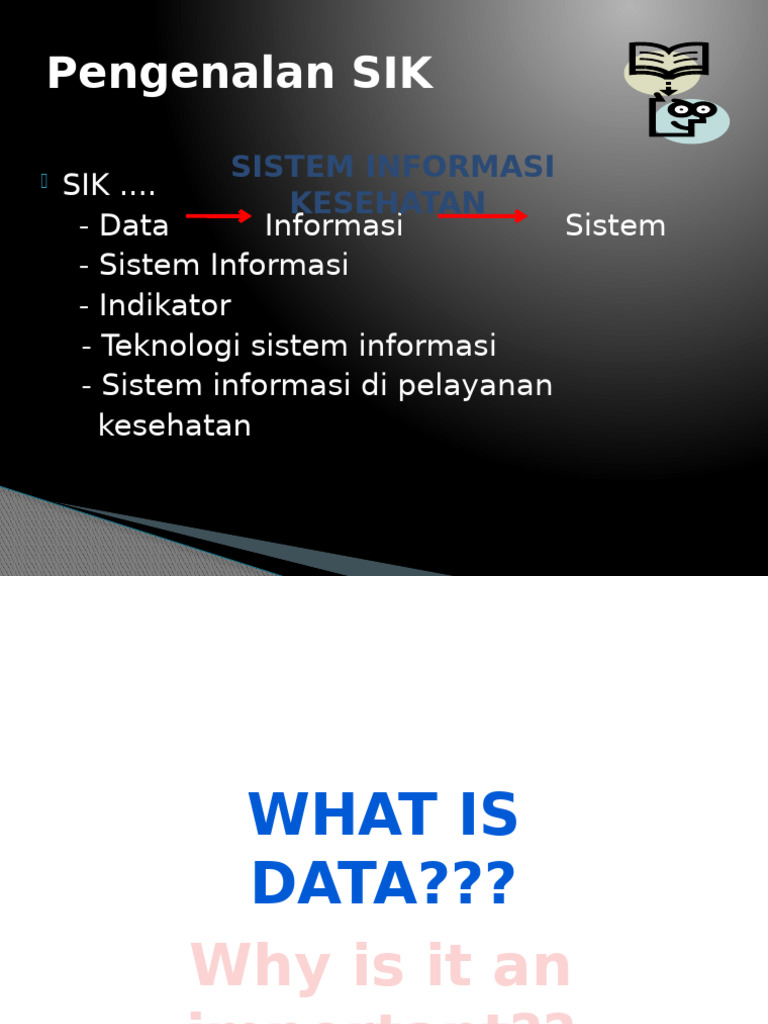 Sik Data | PDF