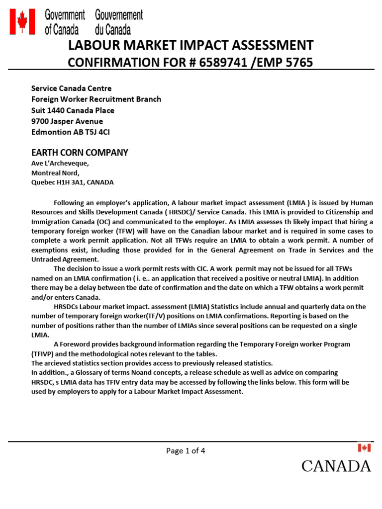 Jamir Ali Lmia Paper | PDF