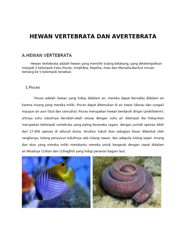 Hewan Vertebrata Dan Avertebrata | PDF