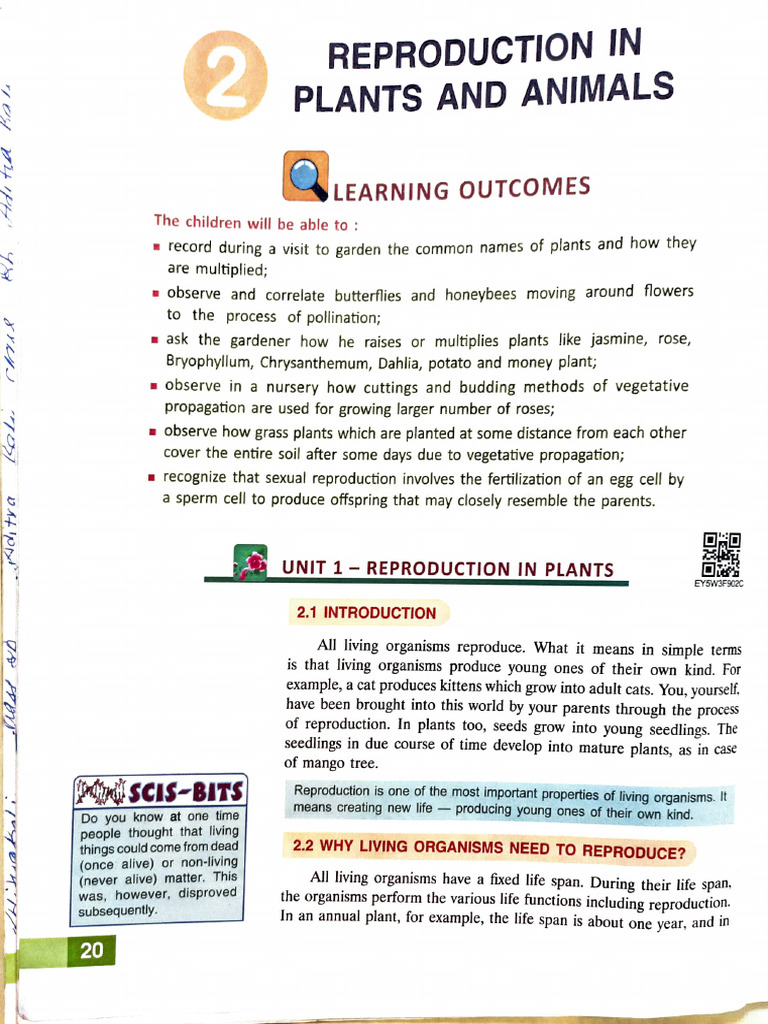 Bio Reproduction in Plants and Animals | PDF