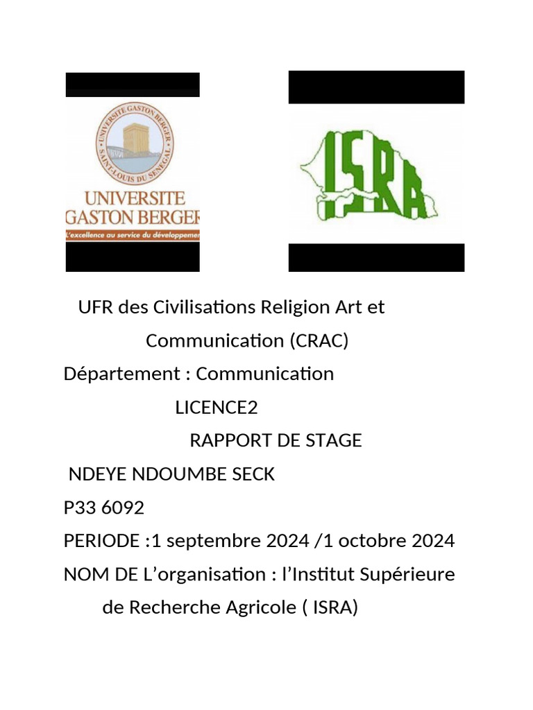 Rapport de Stage | PDF